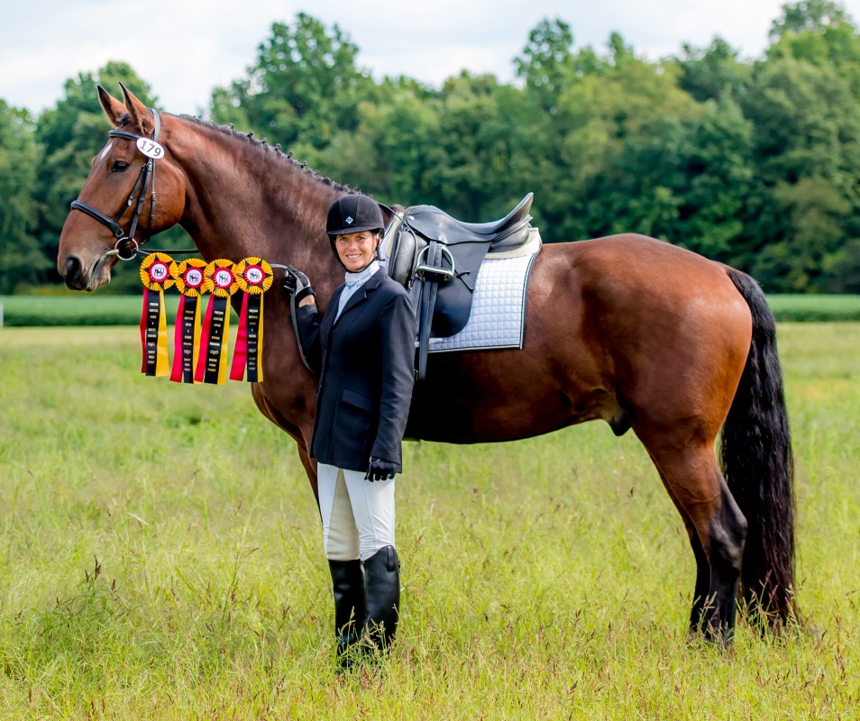 Friesian Heritage & Sporthorse News & Promotions